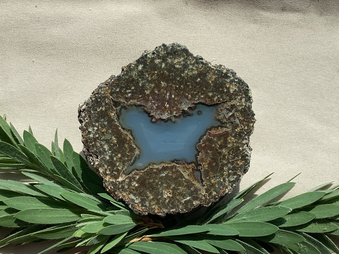 Price Reduction: Very Nice Oregon Thunder Egg Half, Cut and Polished # ...