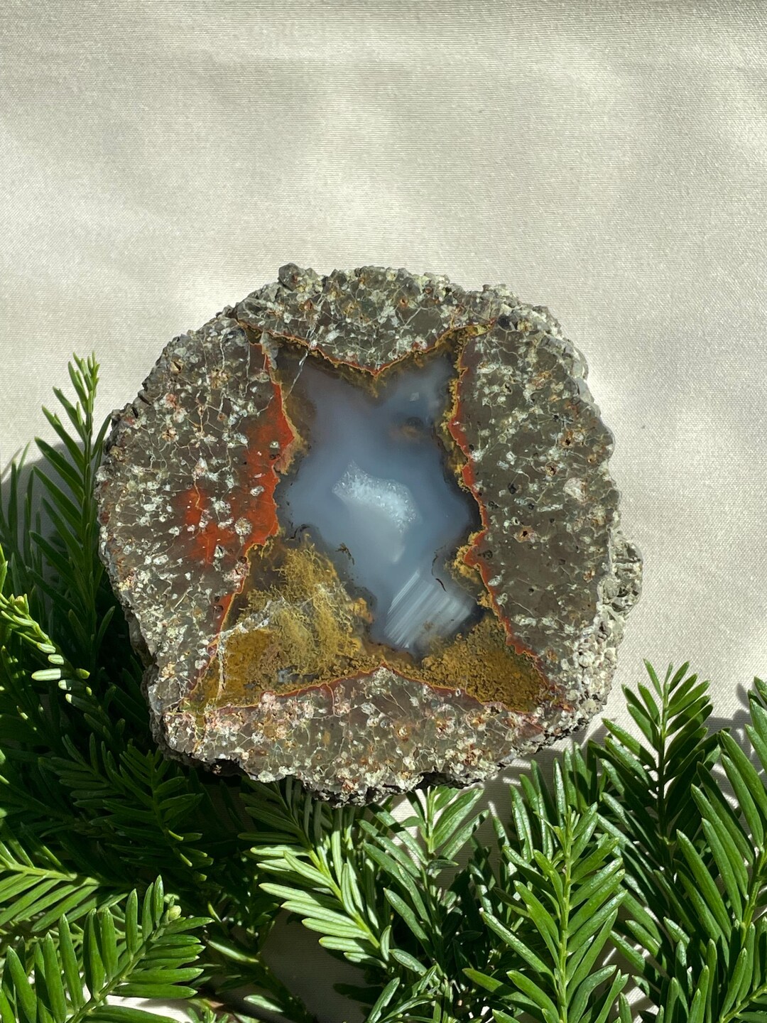 Beautiful Colors in This Oregon Thunder Egg Half, Cut and Polished # ...