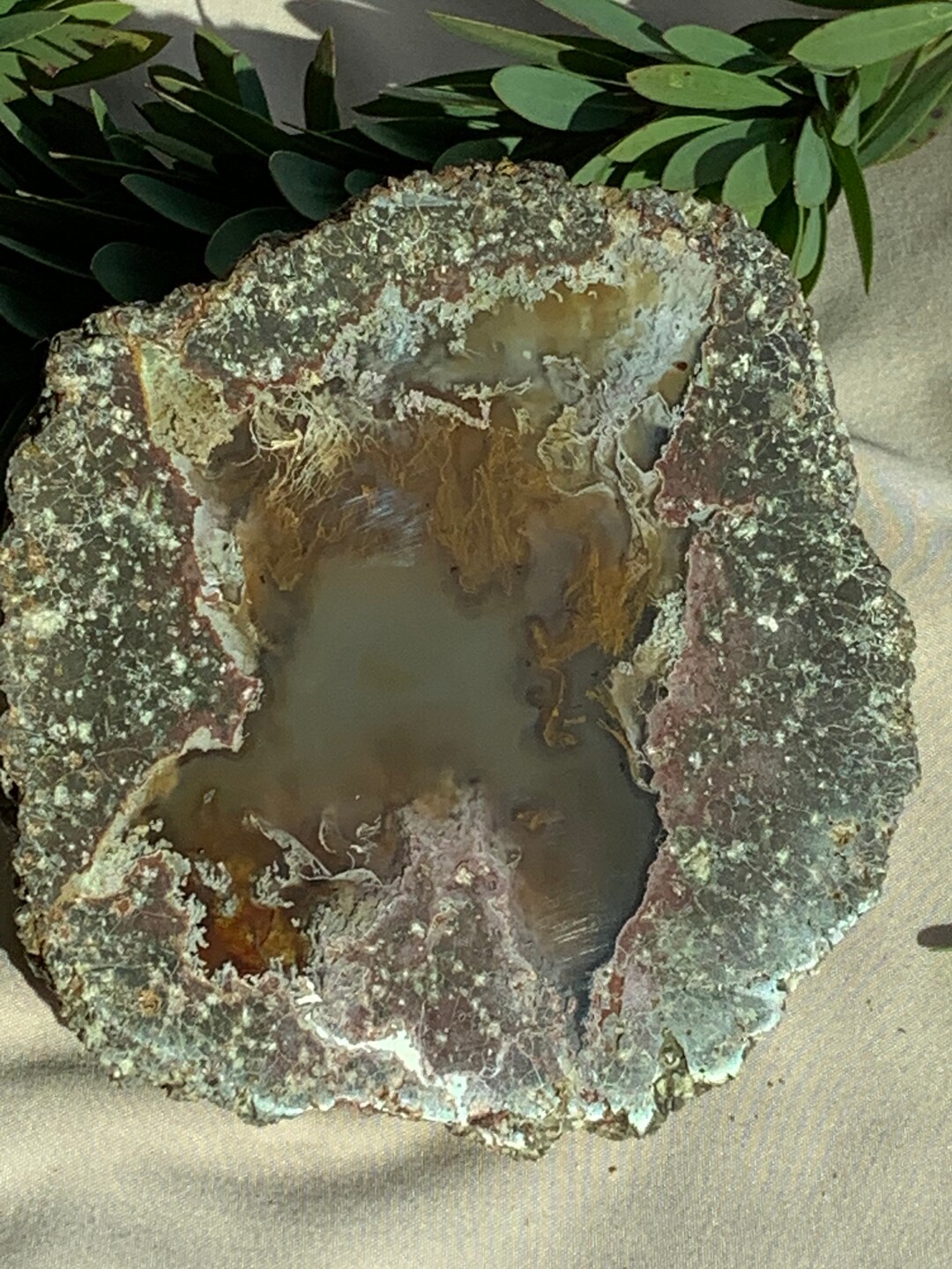 Large and Creamy Carmel Agate With Butterscotch Plume Thunder - Etsy