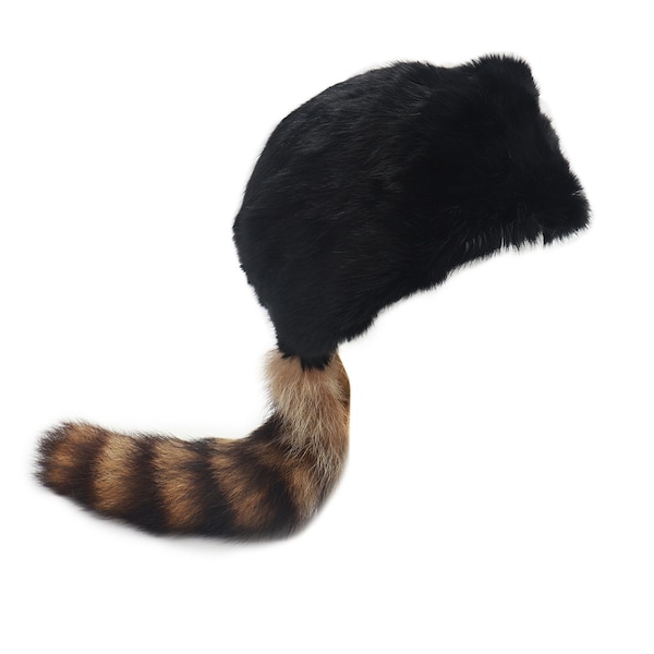 Coonhat - Etsy