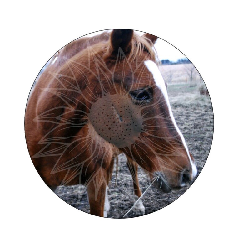 Western Cardstock Round Digital Downloads Cardstock Image - Etsy