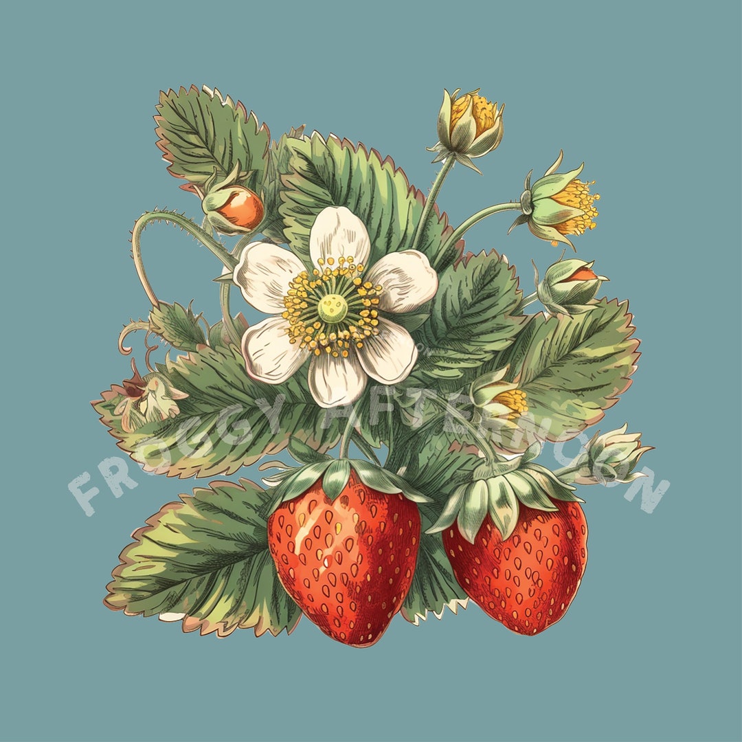 Transparent Background Vintage Strawberry PNG / Old-fashioned ...