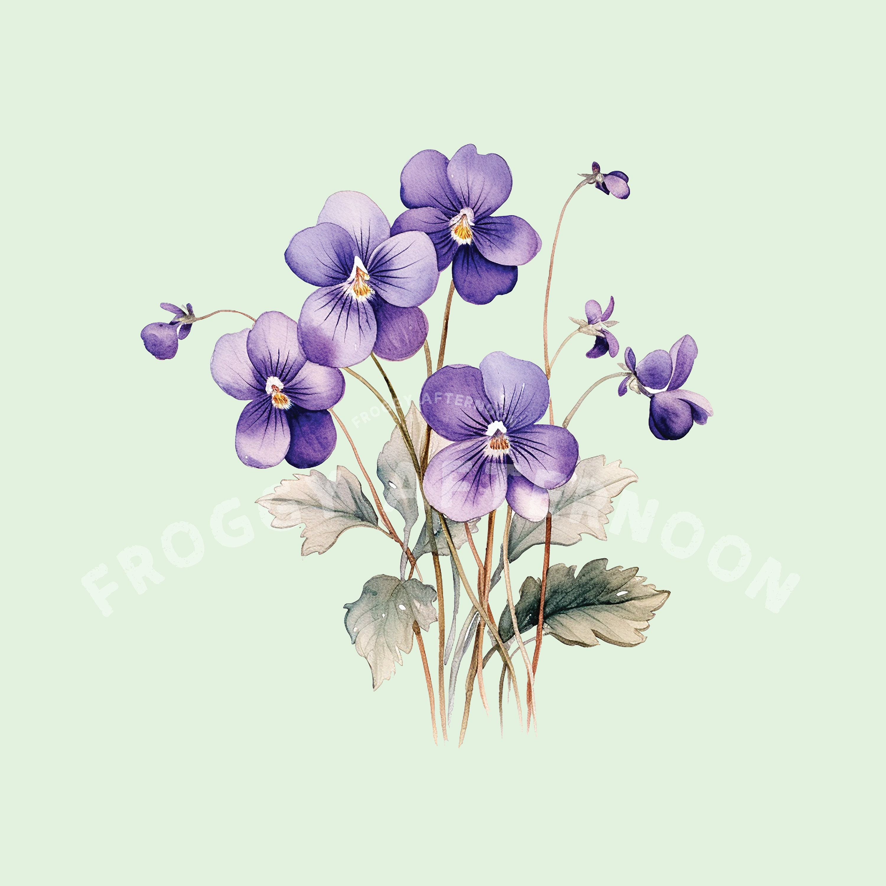 Transparent Vintage Sweet Violet PNG / Common Violet Flower Clipart ...