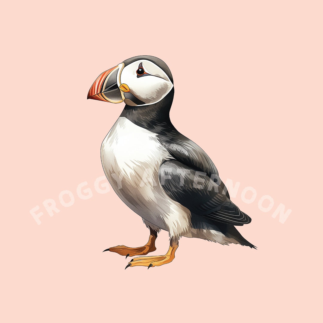 Transparent Puffin PNG / Retro Old-fashioned Puffin Bird for Greeting ...
