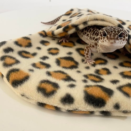 Leopard Gecko Hide Crocheted Soft House for Small Pets | Etsy