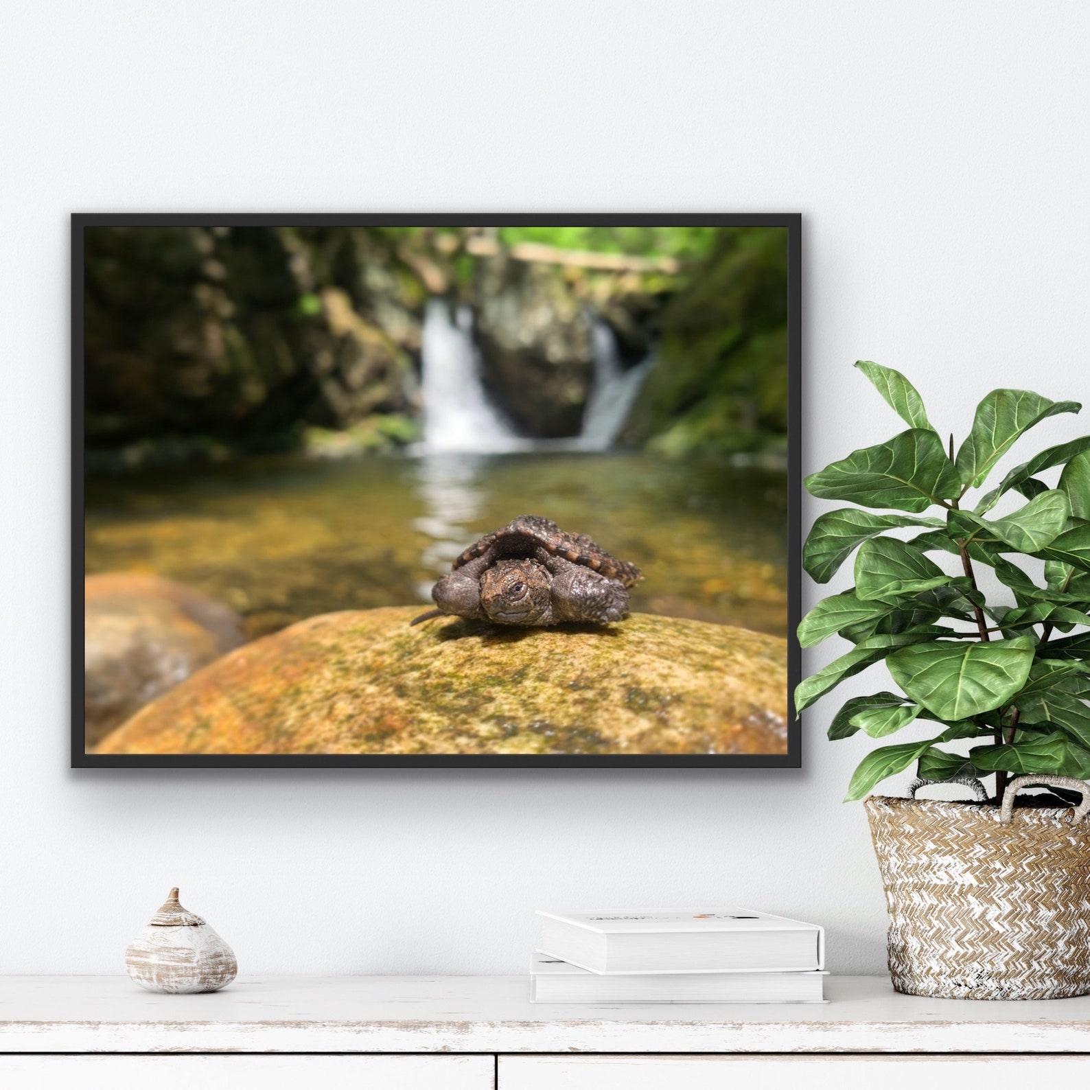 Waterfall Turtle - Etsy