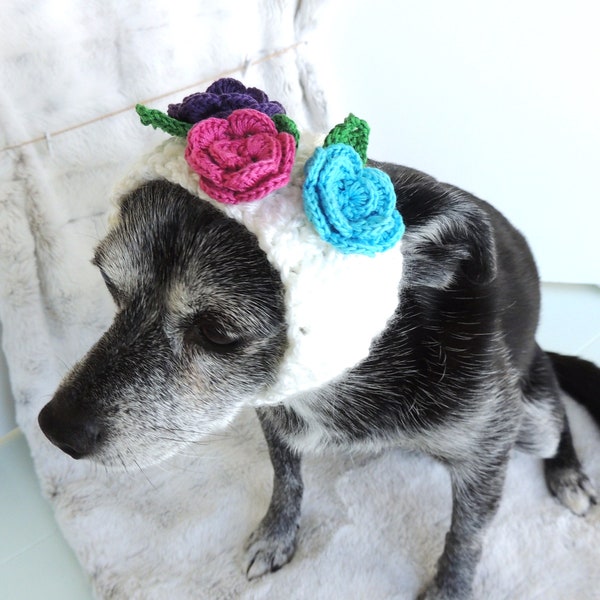 Dog Headband - Etsy