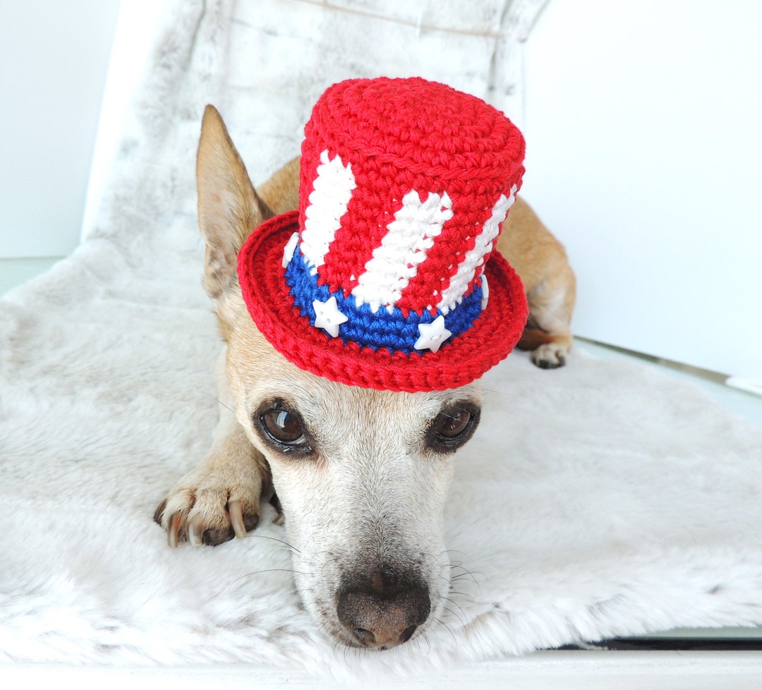 Patriotic Dog Hat, Crochet Uncle Sam Hat for Pet, Photo Fashion ...