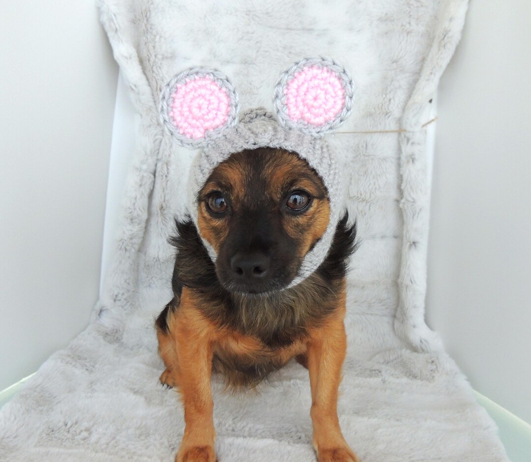 Mouse Dog Snood, Knit Hat for Pet, Mouse Costume for Pup - Etsy