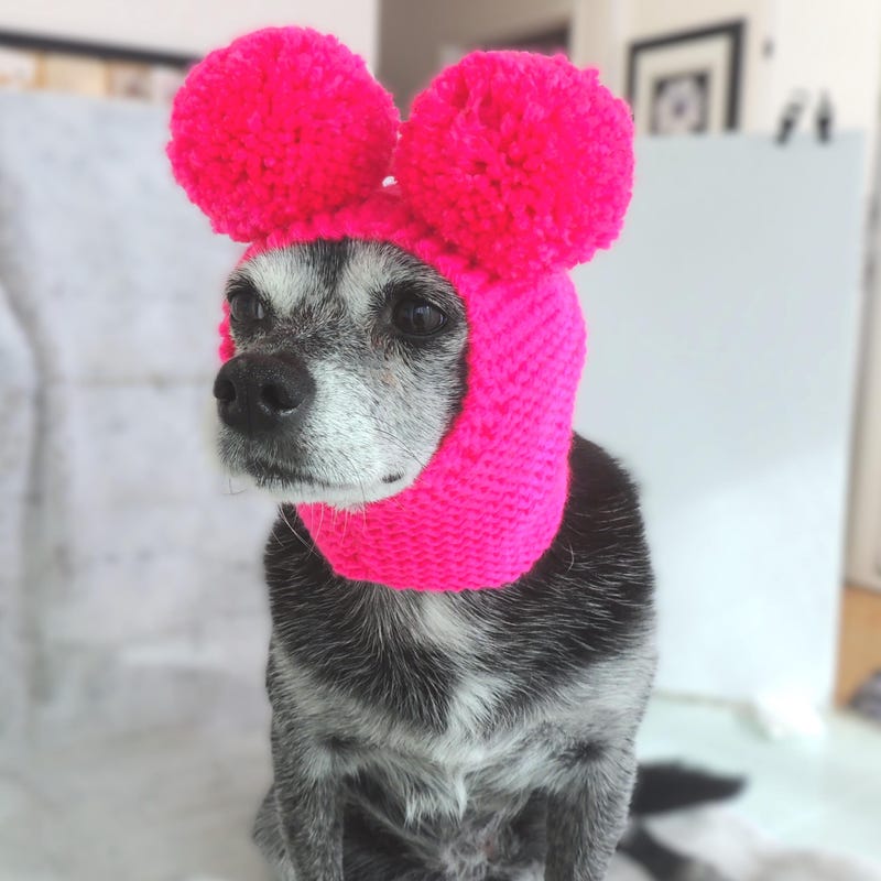 Pet Snood - Etsy