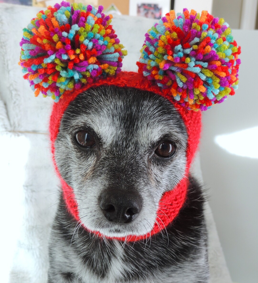 Red Dog Snood, Valentine's Day, Birthday Snood for Pup, Knit Hat With ...