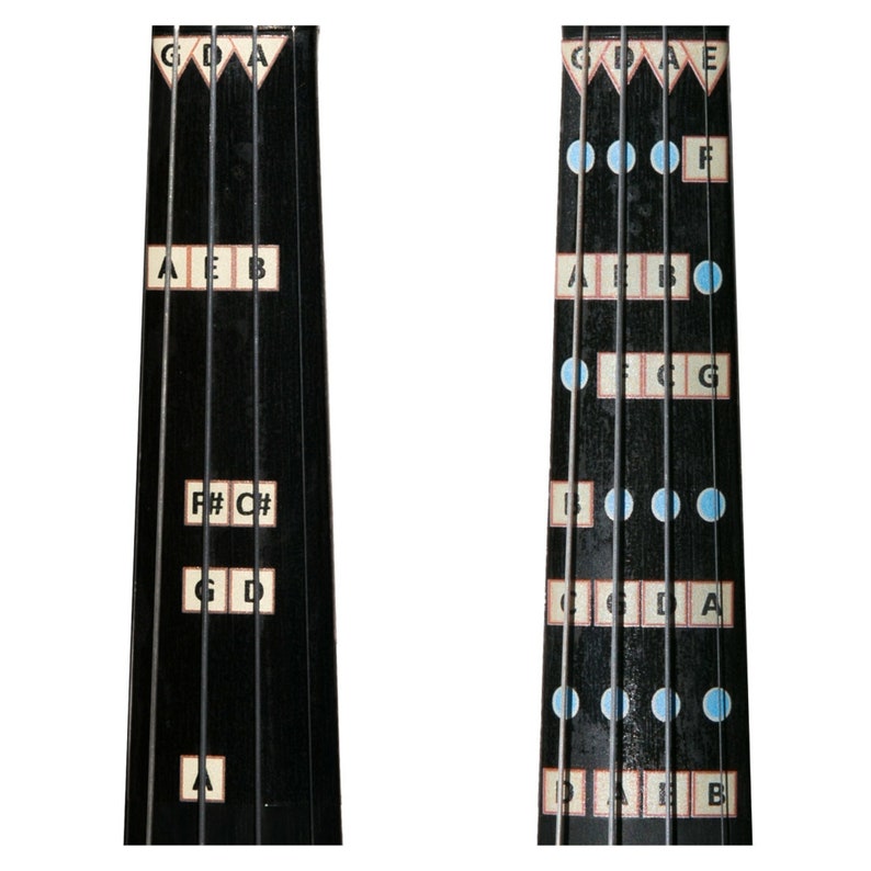 Fantastic Finger Guide for Violins Fingerboard and Fretboard Stickers ...