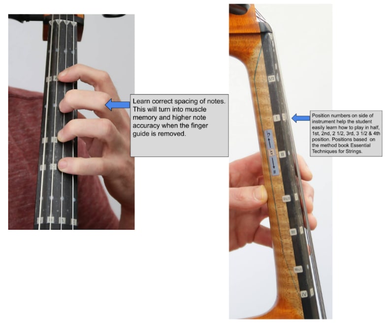 Fantastic Finger Guide for Cello - Music Accessories for String ...