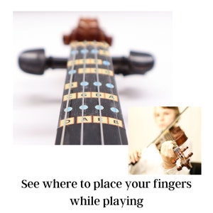 Fantastic Finger Guide for Violins - Music Accessories for String ...