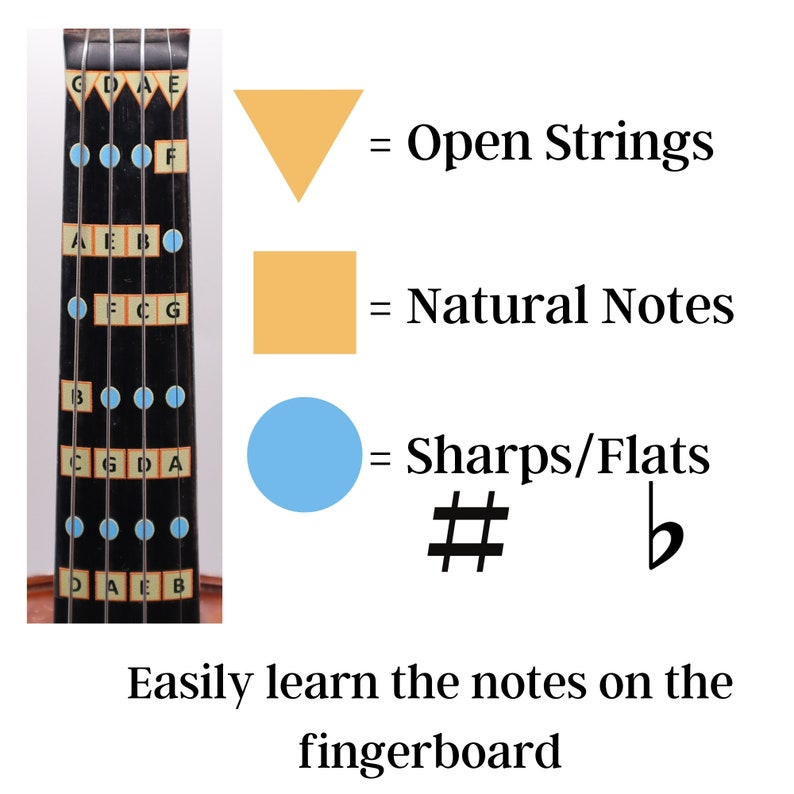 Fantastic Finger Guide For Violins Music Accessories For Etsy