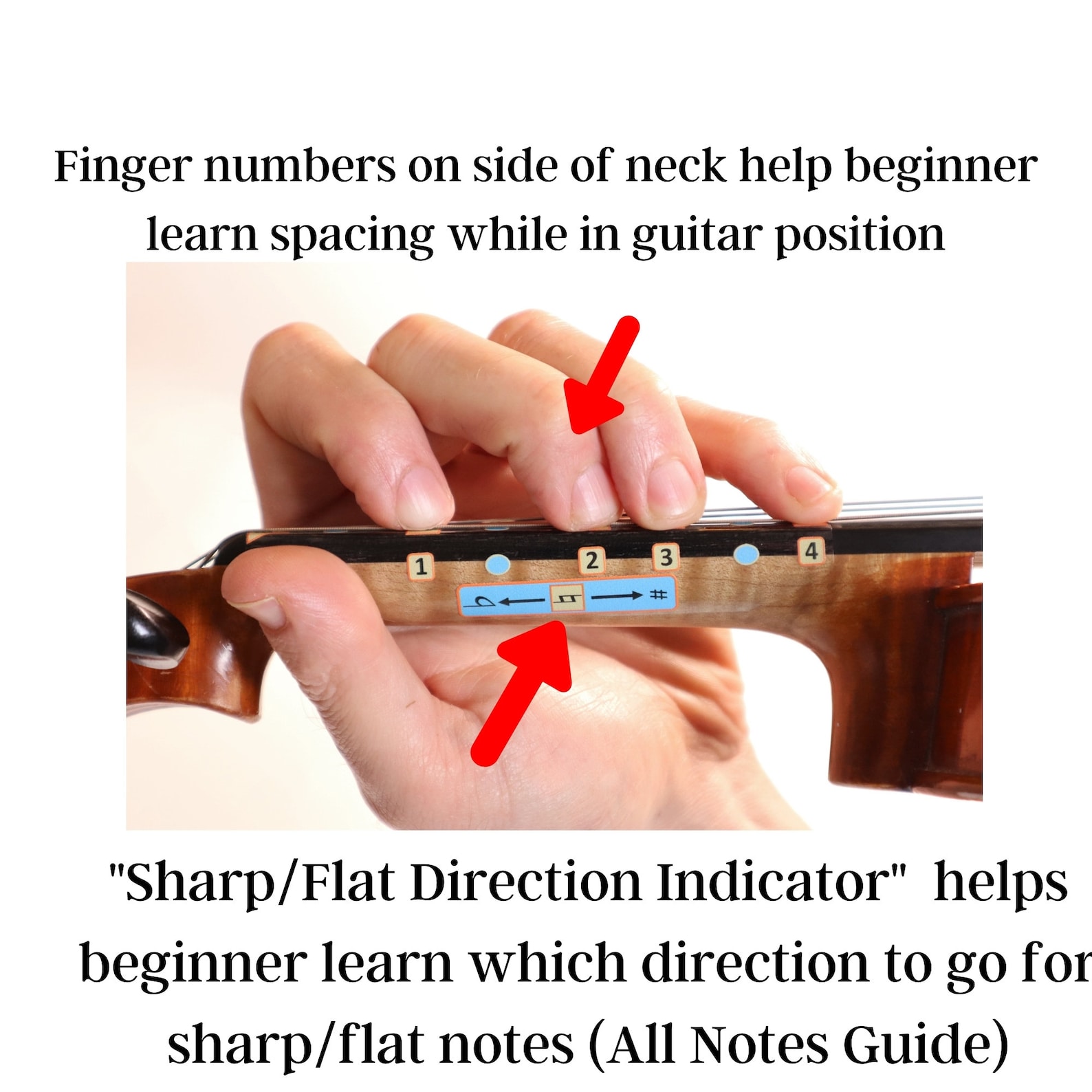 Fantastic Finger Guide for Violins Fingerboard and Fretboard Stickers ...