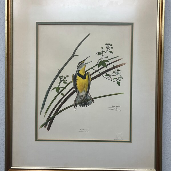 Ray Harm Print - Etsy