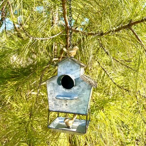Galvanized Birdhouse - Etsy
