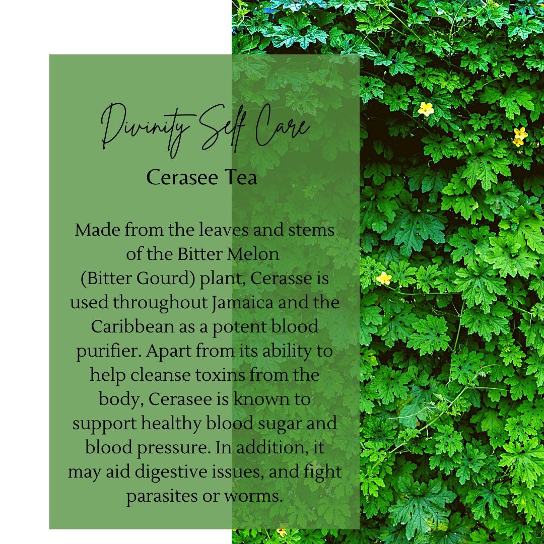 Jamaican Cerasee Dried bitter Melon - Etsy