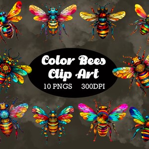 Colorful Bee's, Bee Clipart, Bee PNG, Bee Art, Bee, Digital Bee, Animal ...