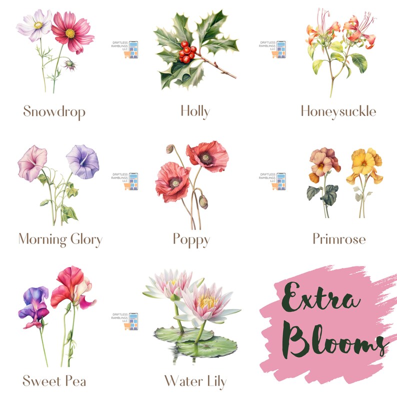 Bloom by Birth: Vintage Colored Pencil Botanical Flower PNG Bundle ...