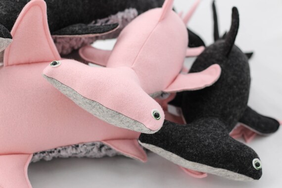 Hammerhead Shark Pups