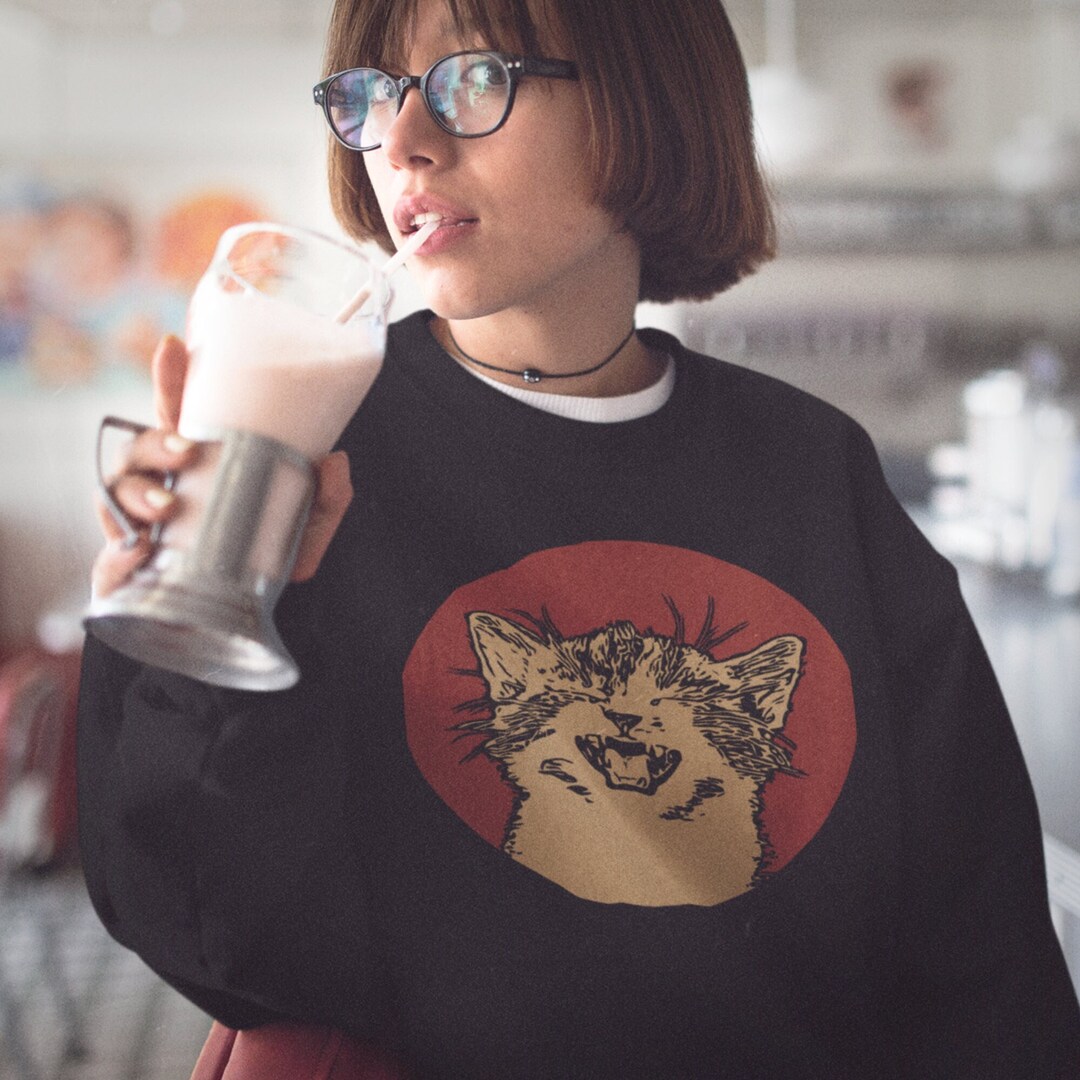 Y2K Funny Cat Sweater, Weirdcore Clothing, Crying Cat Meme, Cat Lover ...