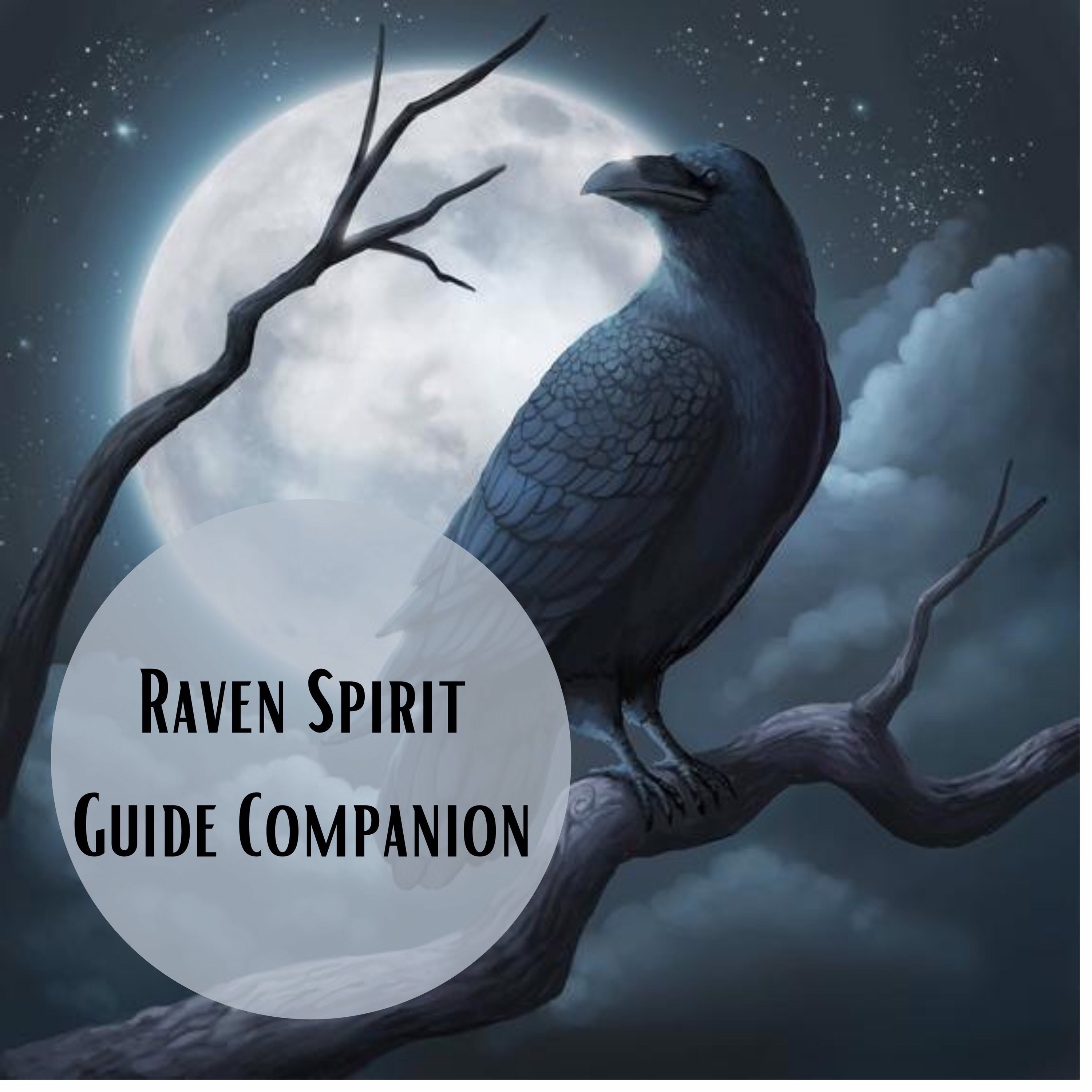 Raven Spirit Guide Animal Totem Spirit Companion Intelligence - Etsy