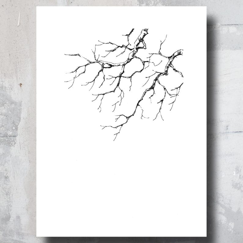 Paint Along Trees and Branches Coloring Page, Watercolor Fine Art Wall ...