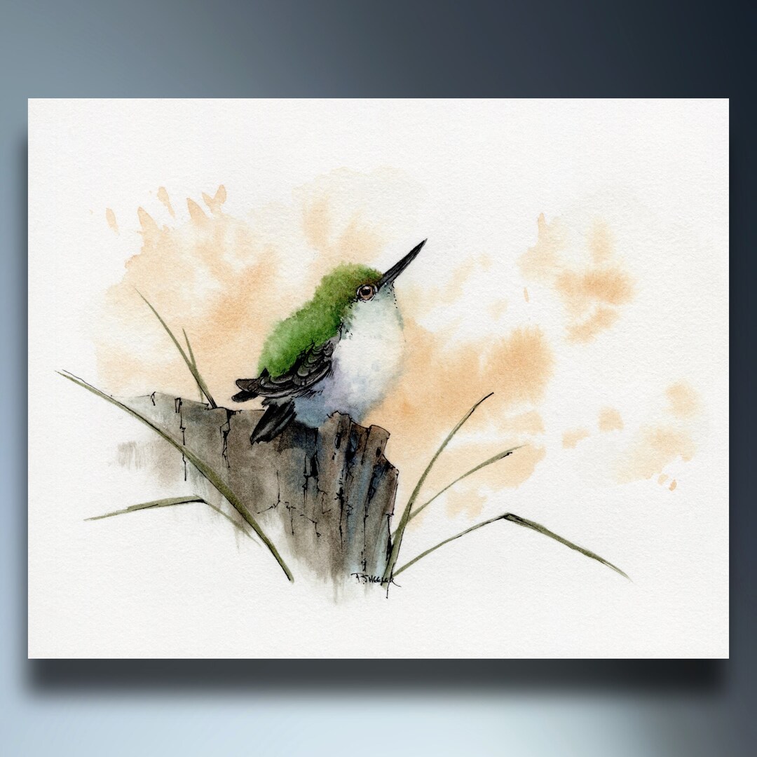 Little Hummingbird Watercolor Print and Greeting Card, Cute Baby Bird ...