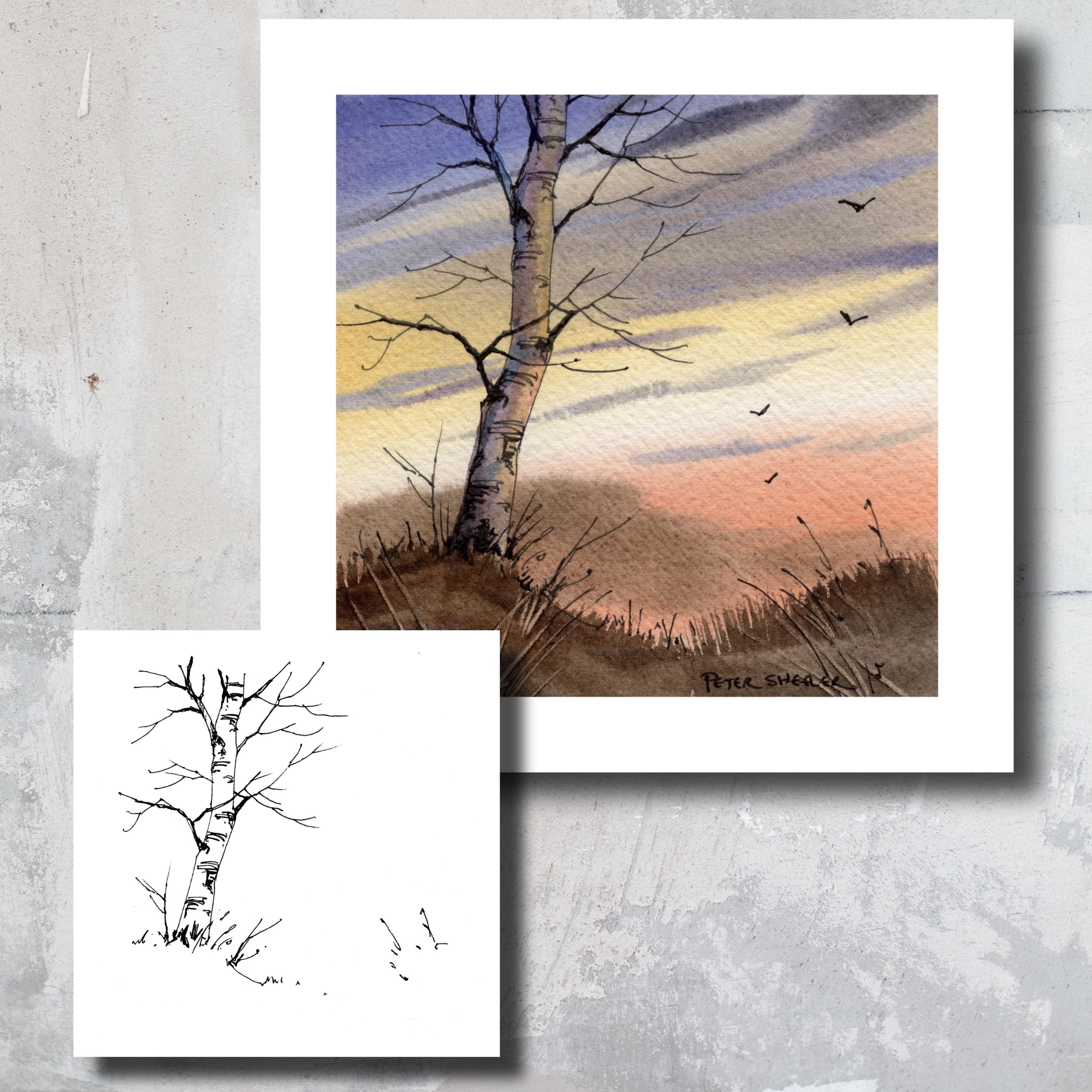 Paint Along Sunset Birch Tree, Coloring Page, Watercolor, Line and Wash ...