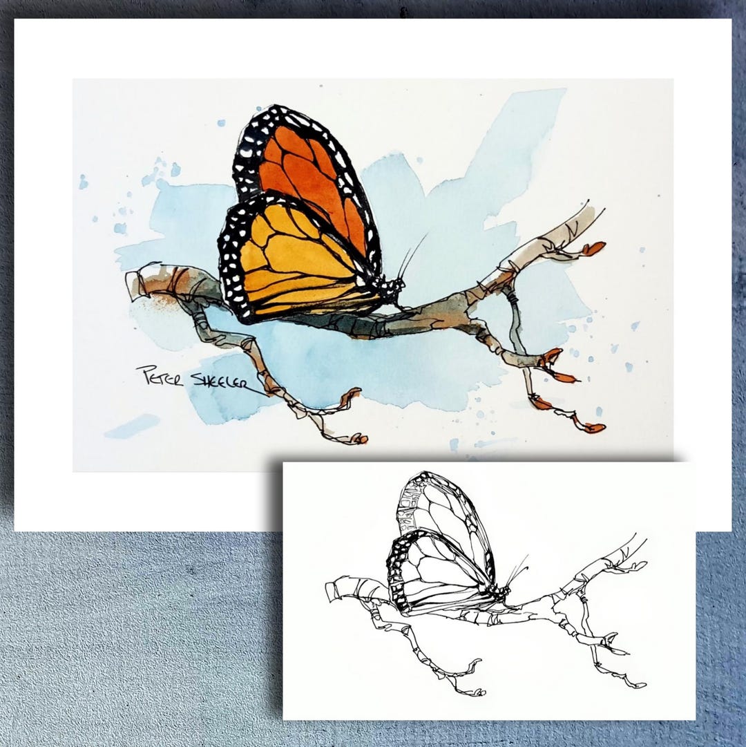 Monarch Butterfly Coloring Page, Watercolor Print, Floral, Nature Art ...