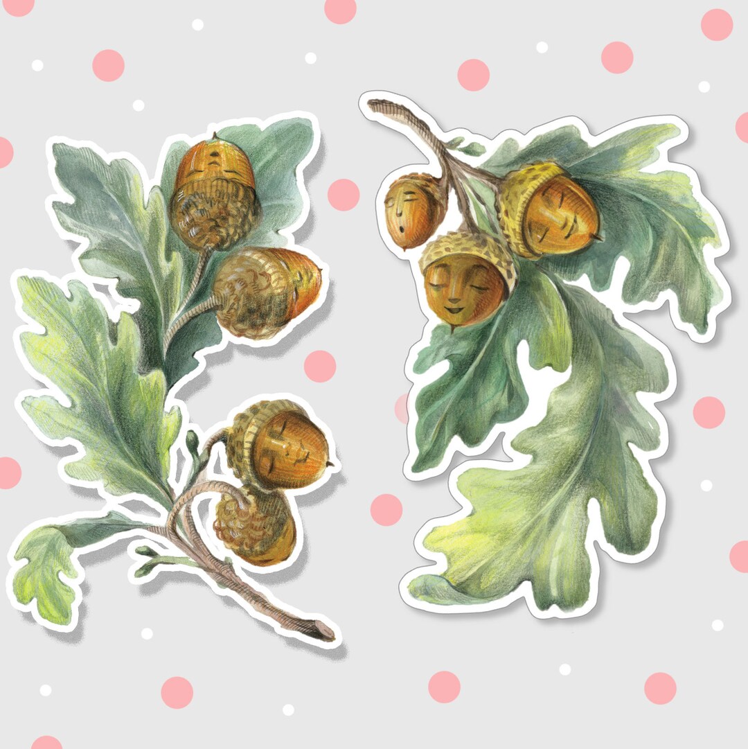 Jumbo Acorn Sticker DUO Vinyl Sticker, Laptop Decal, Custom Stickers ...