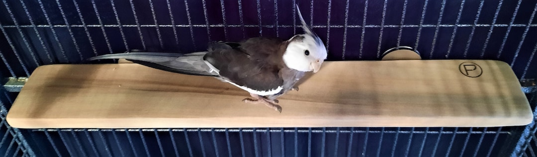 4 X 23 Shelf, Flat Perch for Cockatiels, Parakeets, and Small Conures ...