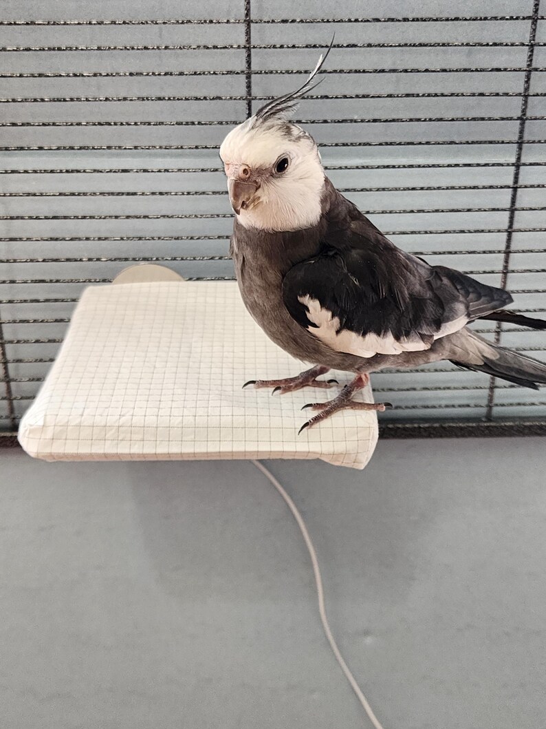 Bird Cage Grounding Sheets - Etsy