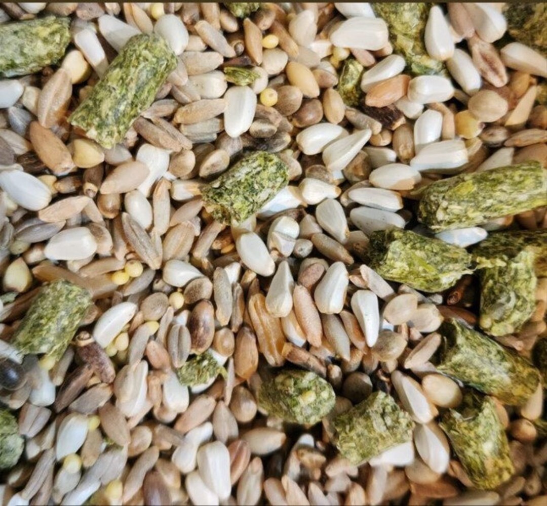 Pesticide Free Jodi’s Parrot Seed Mix - Etsy