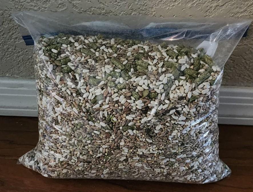 Pesticide Free Jodi’s Parrot Seed Mix - Etsy