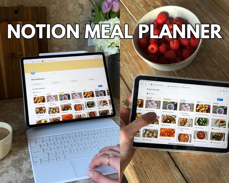 Notion Meal Planner | for Ipad, Iphone, & MacBook - Etsy