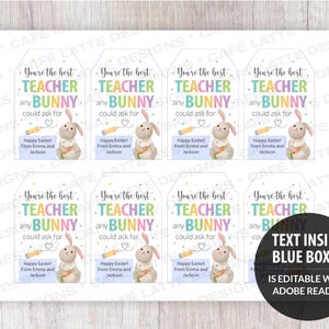 Easter Gift Tags for Teacher Printable, Easter Bunny Gift Tags Editable ...