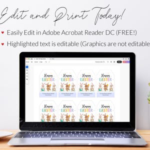 Easter Gift Tags Printable, Easter Bunny Gift Tags Editable Template ...