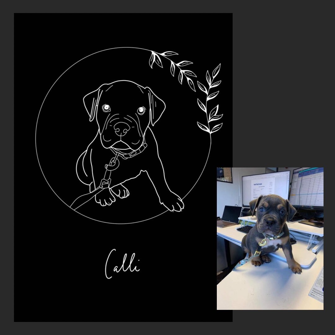 Personalised Pet Drawings A4, Made to Order - Etsy