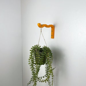 Wavy Colorful Plant Bracket for Wall, Indoor Hanging Plant Hook, Bright ...