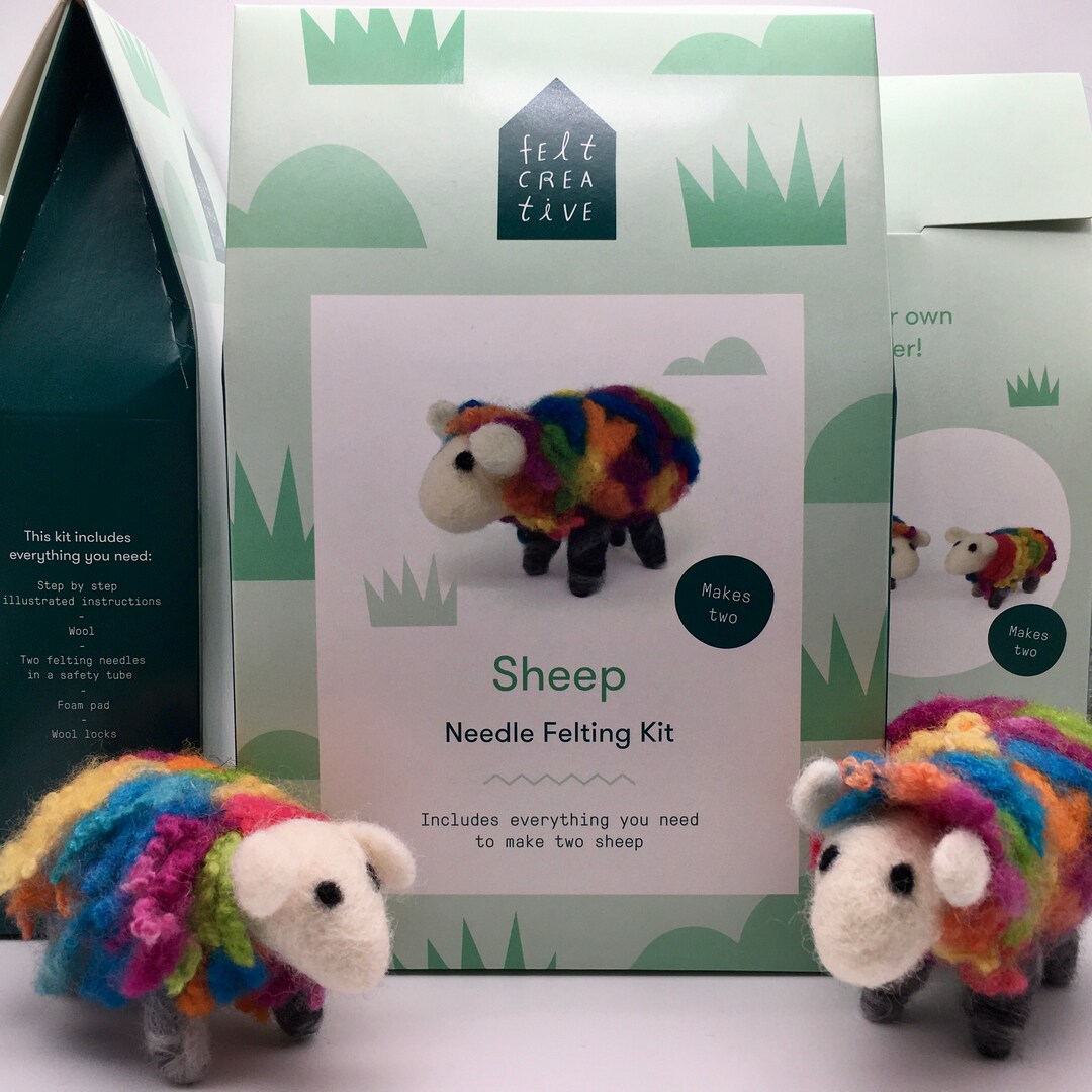 Colourful Sheep Needle Felting Kit - Etsy