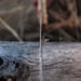 28" Dandy® Saw - Etsy