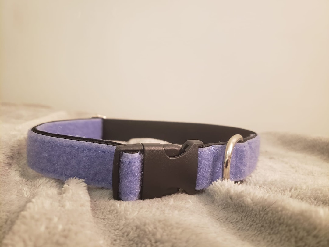 Patch Collar Hook and Loop Customizable - Etsy