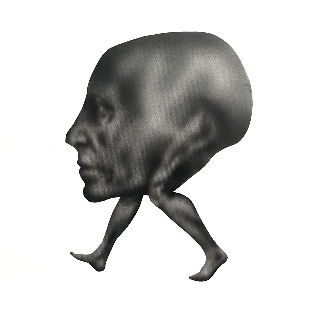Surreal Airbrush Artwork - Anthropomorphic Walking Head | Unique ...