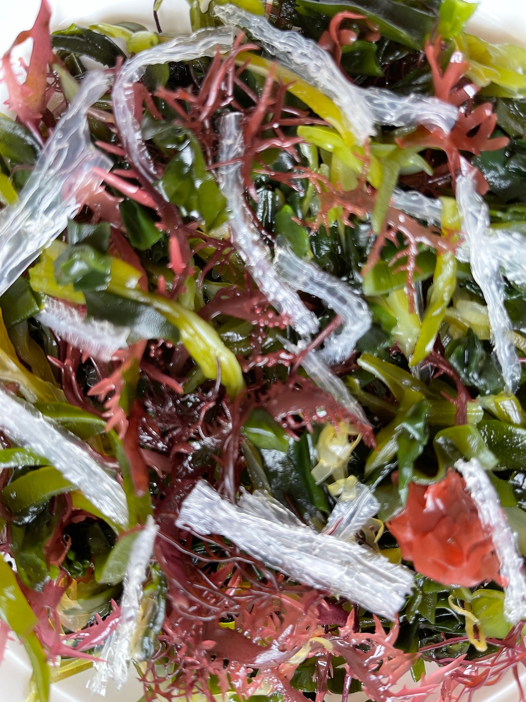 Dried 7 Types of Seaweeds for Salad Vegan Vegetarian Diet - Etsy UK