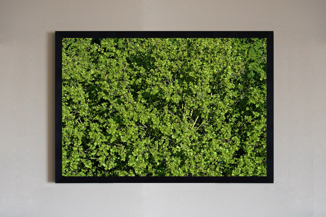 Digital Print Download Colour Vegetation Green Trees Minimalistic Gift ...