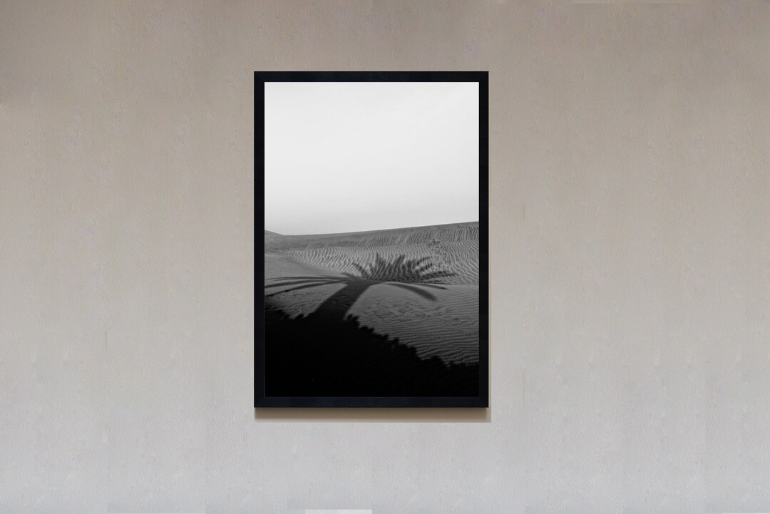 Digital Print Download Bnw Palm Tree Shadow Beach Sand Minimalistic ...