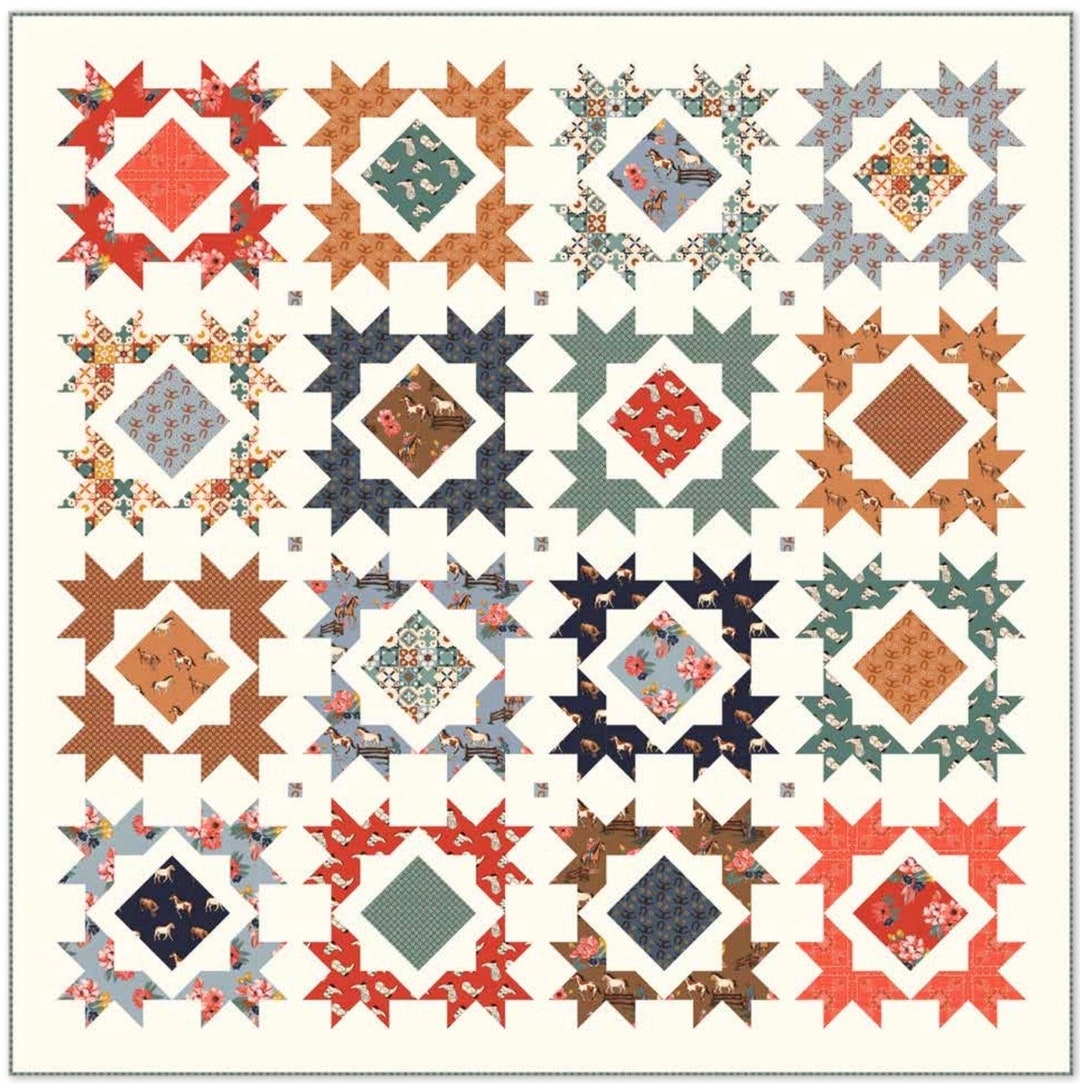 LIMITED EDITION! Riley Blake Wendy Sheppard Crystal Systems Quilt Kit ...